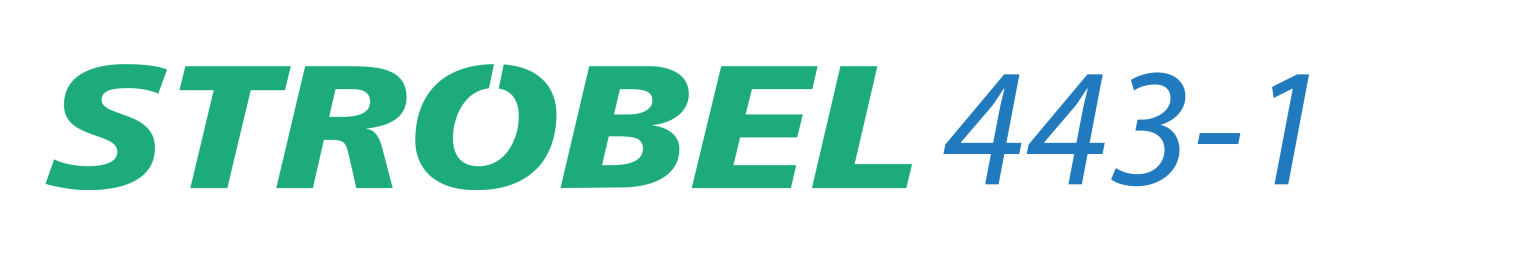 Strobel - Global International B.V.